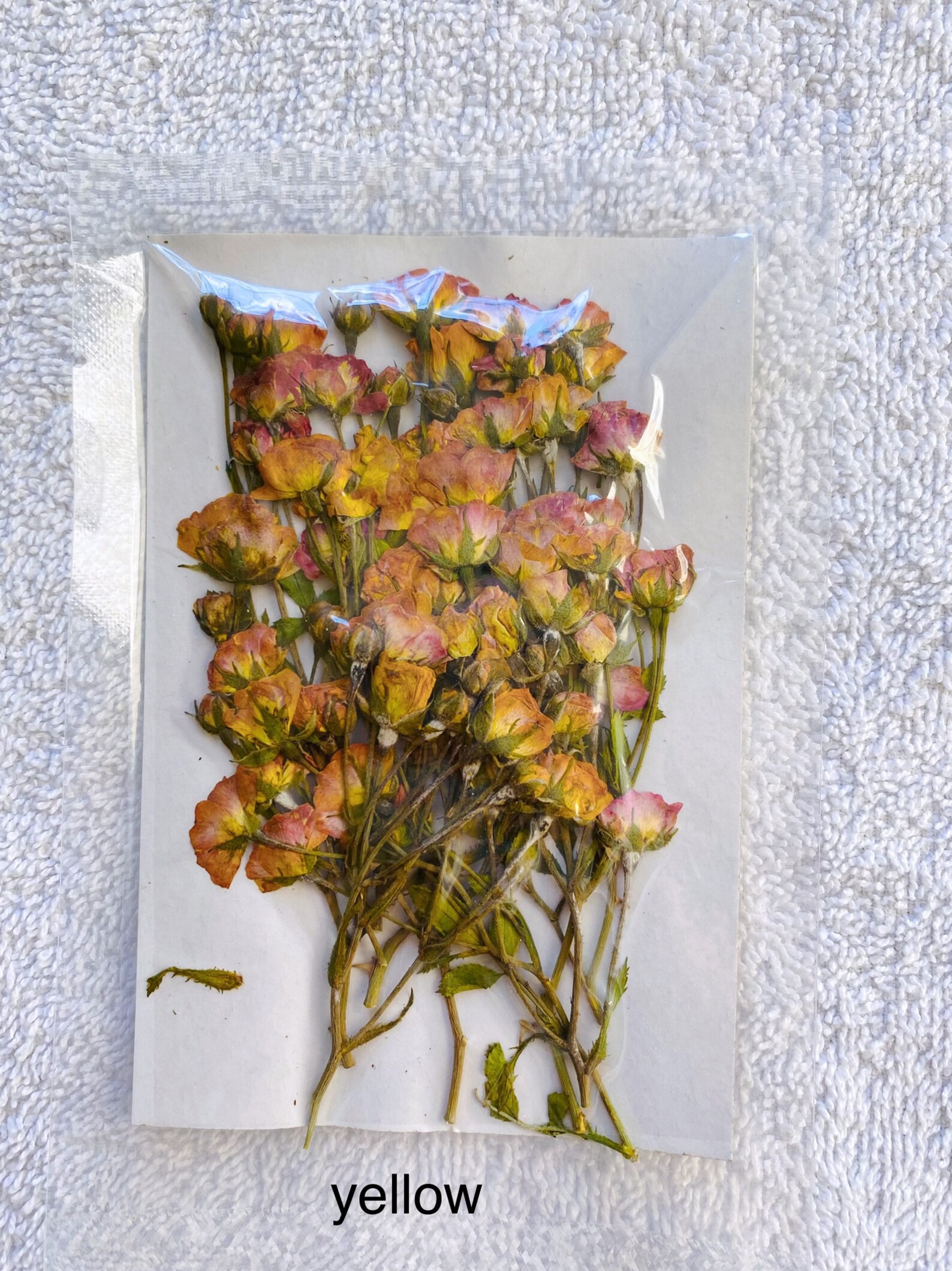 12pcs Pressed Dried Mini Rose Buds With Stemsready to Ship - Etsy