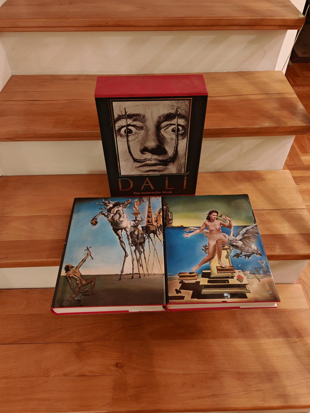 Vintage Salvador Dali Art Books, Taschen Publisher, Collectable Art ...