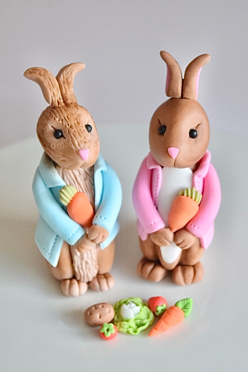 Peter Rabbit Edible Fondant Cake Topper Set 1st Birthday - Etsy