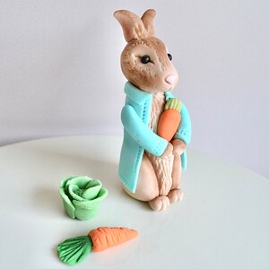 Peter Rabbit Edible Fondant Cake Topper Set, 1st Birthday, Baby Shower ...
