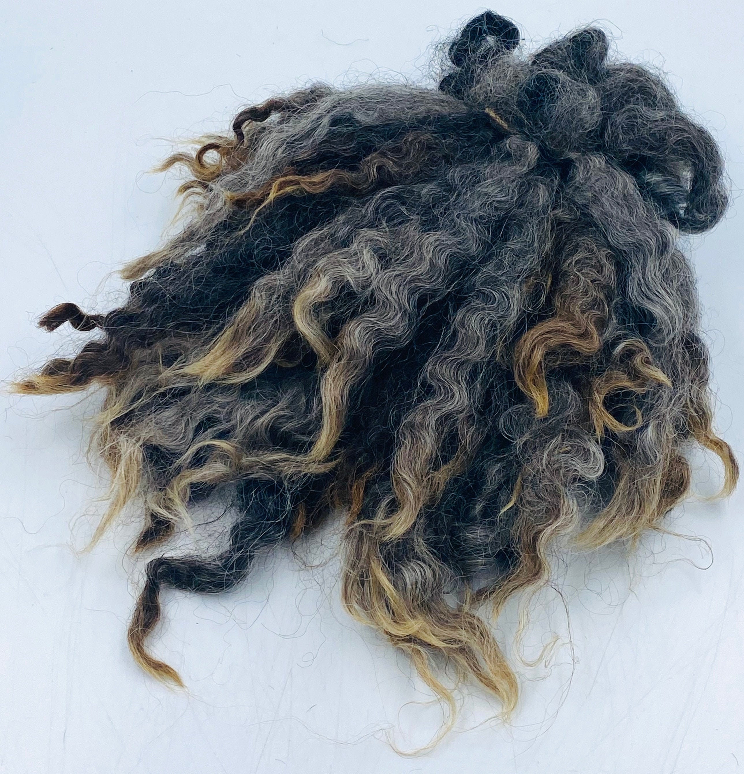 1 Oz 30 G. Sac of Rare Lincoln Long Wool. Neatly Separated Locks, for ...