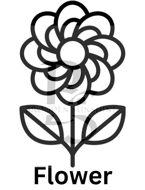 Flower Color Sheet Printable PDF Kids Preschool Toddler Children School ...