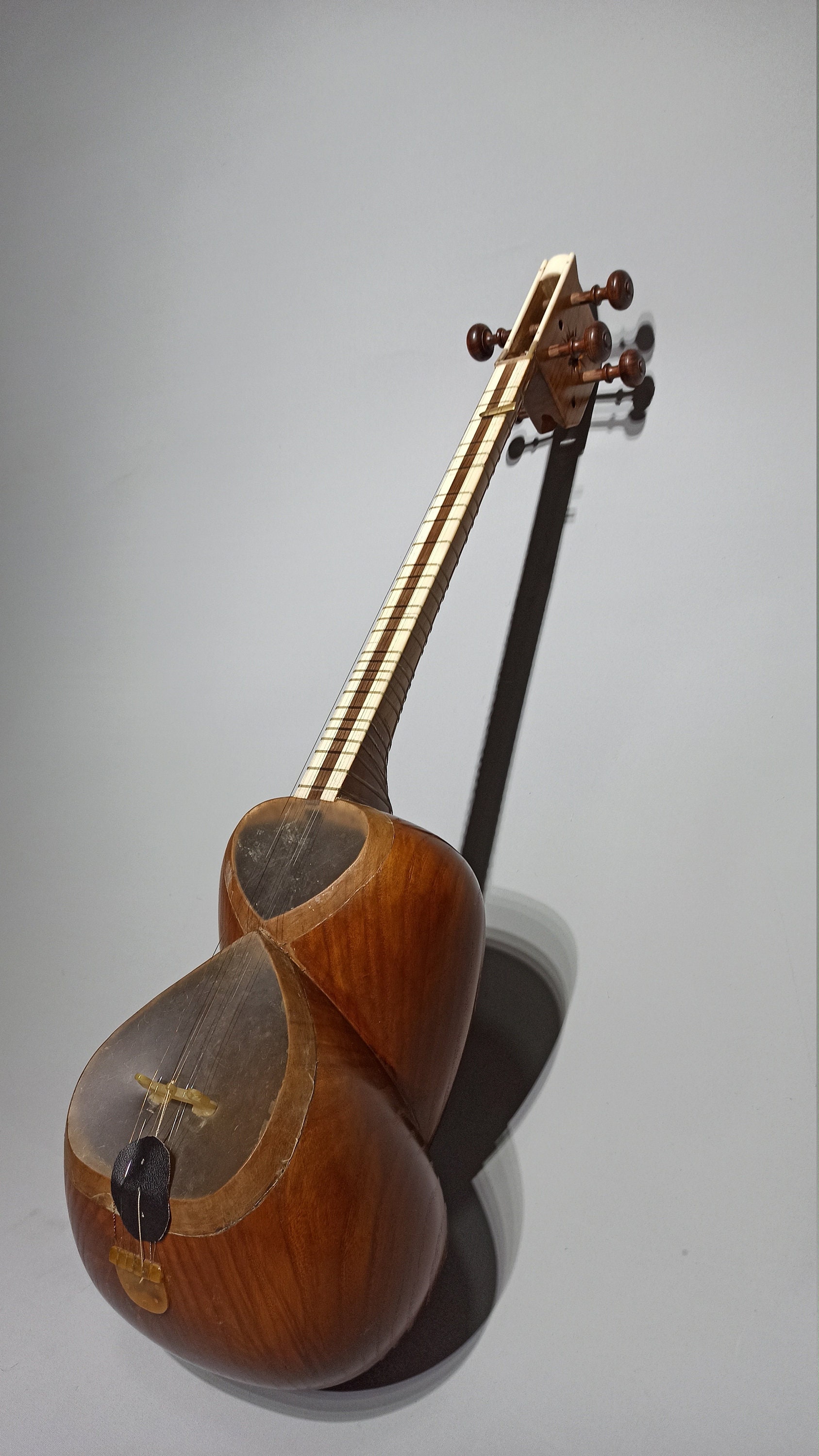 TAR Professional With FREE Hardcase and Free Shipping FOLK Music ...