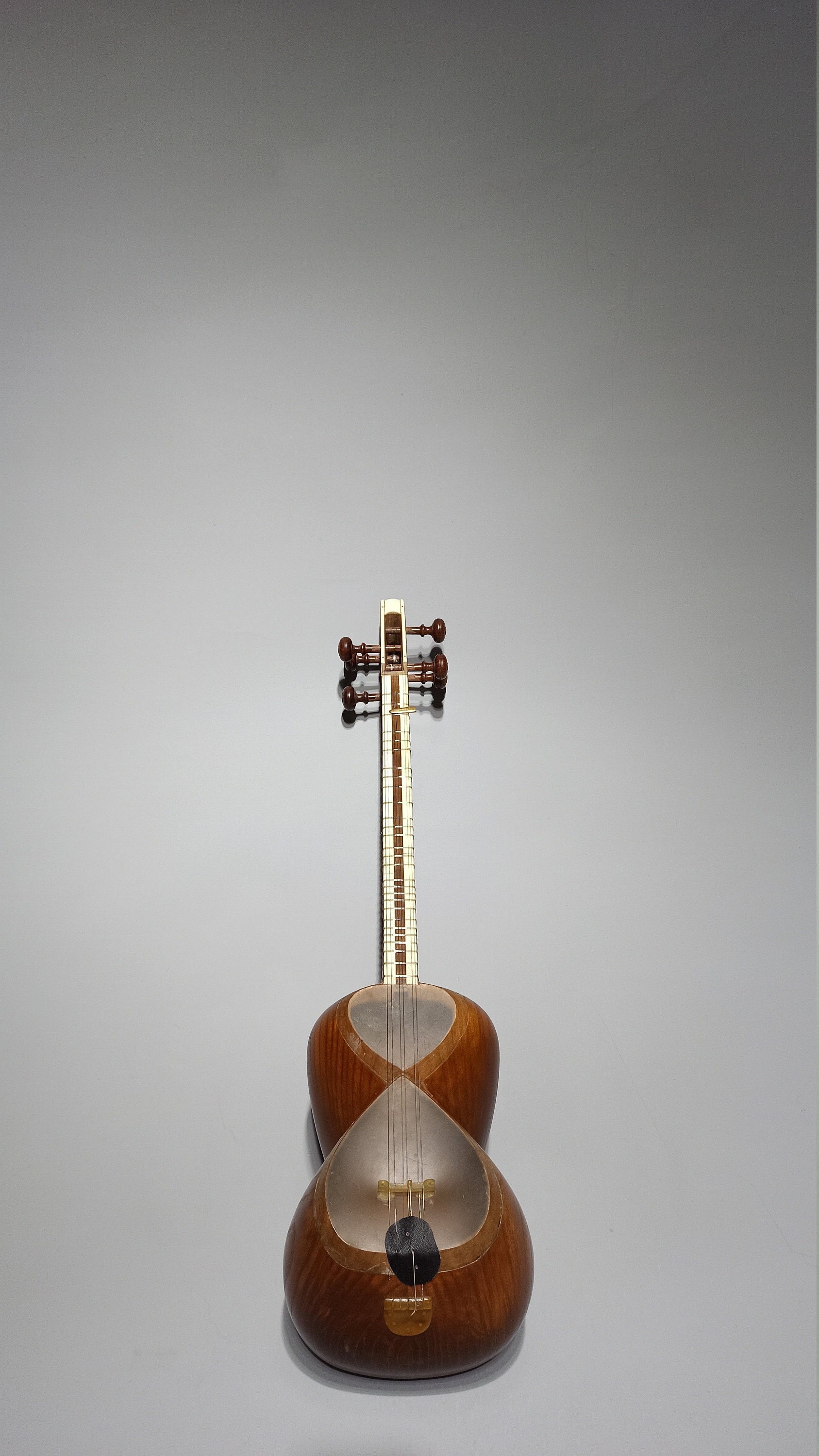 TAR Professional With FREE Hardcase and Free Shipping FOLK Music ...