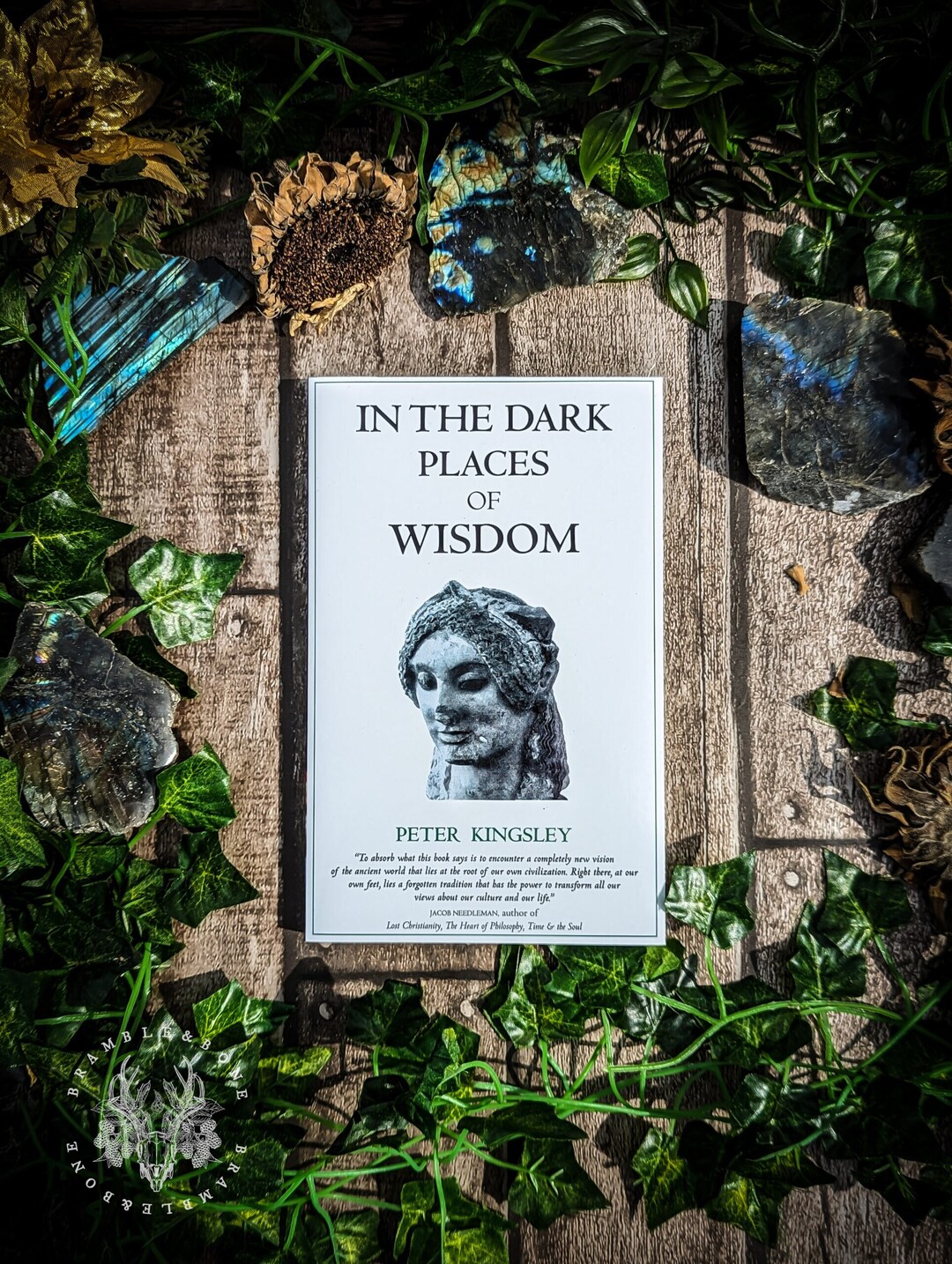 In the Dark Places of Wisdom Free Optional 'how To' Booklet Book on the ...