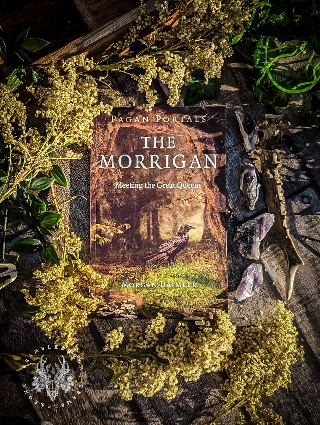 The Morrigan Free Optional 'how To' Booklet Paganism Book on the Irish ...