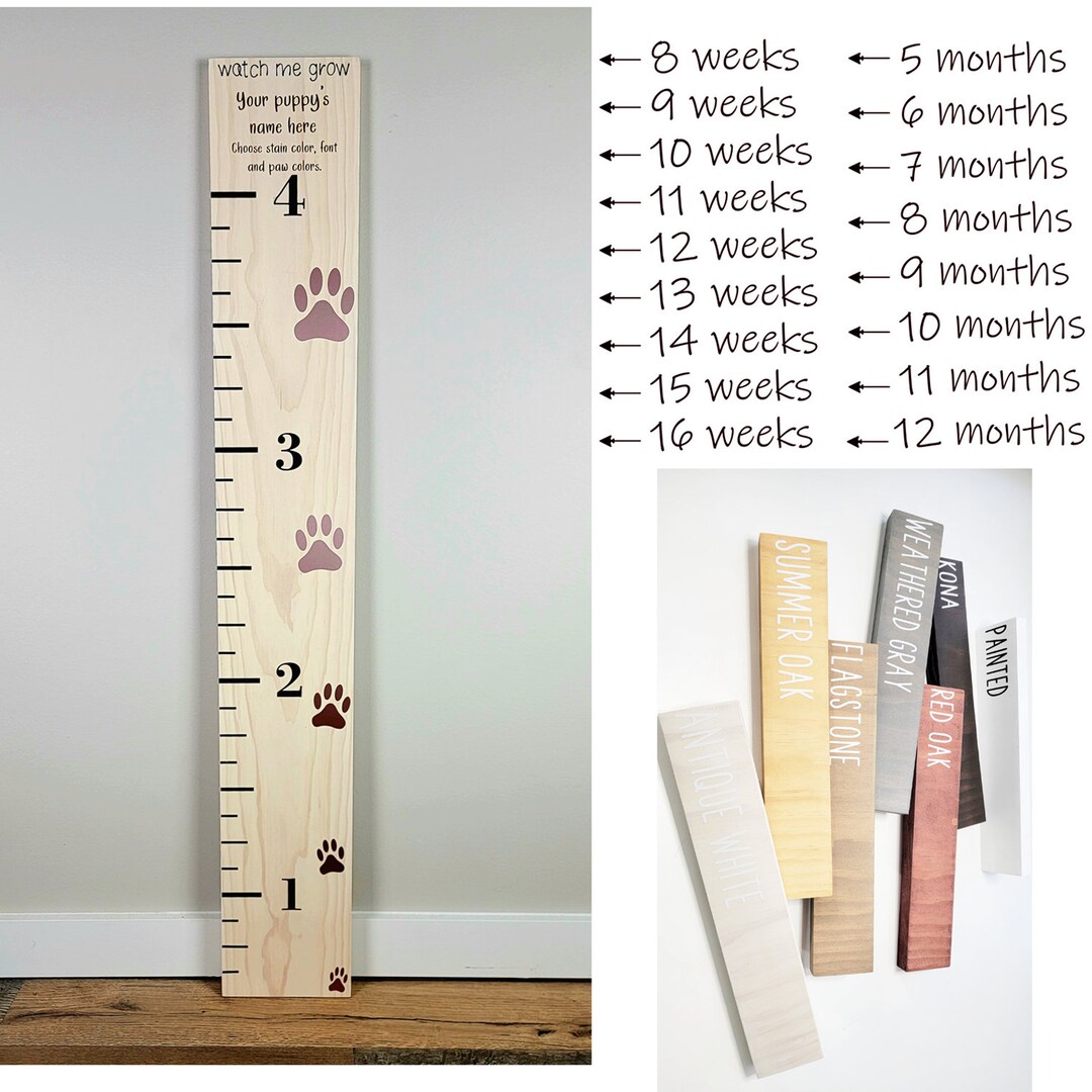 Puppy Growth Chart With Age Markers Personalized Dog Growth - Etsy