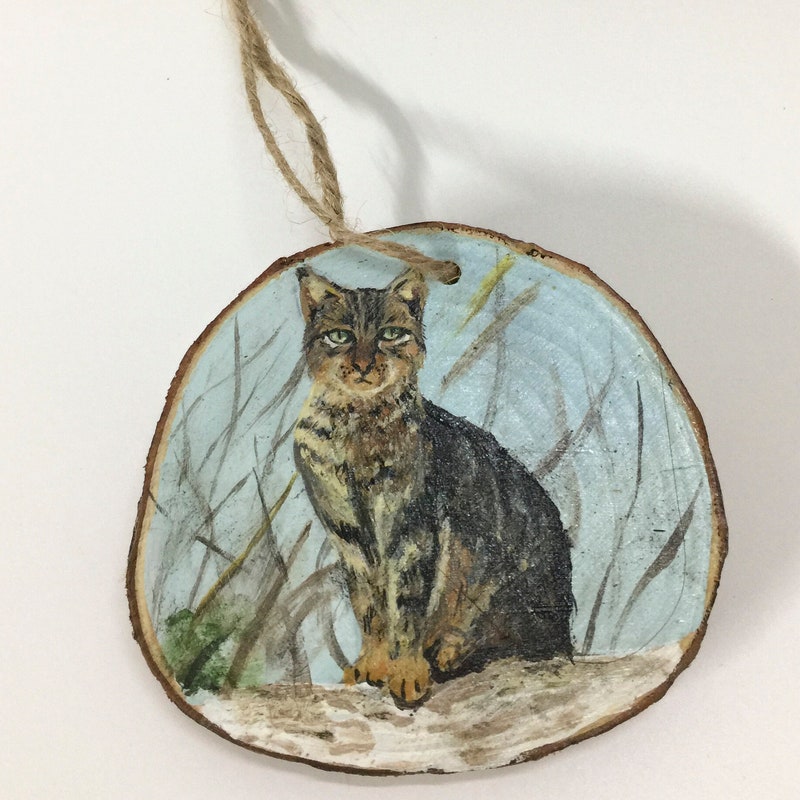 Hand Painted Cat - Etsy