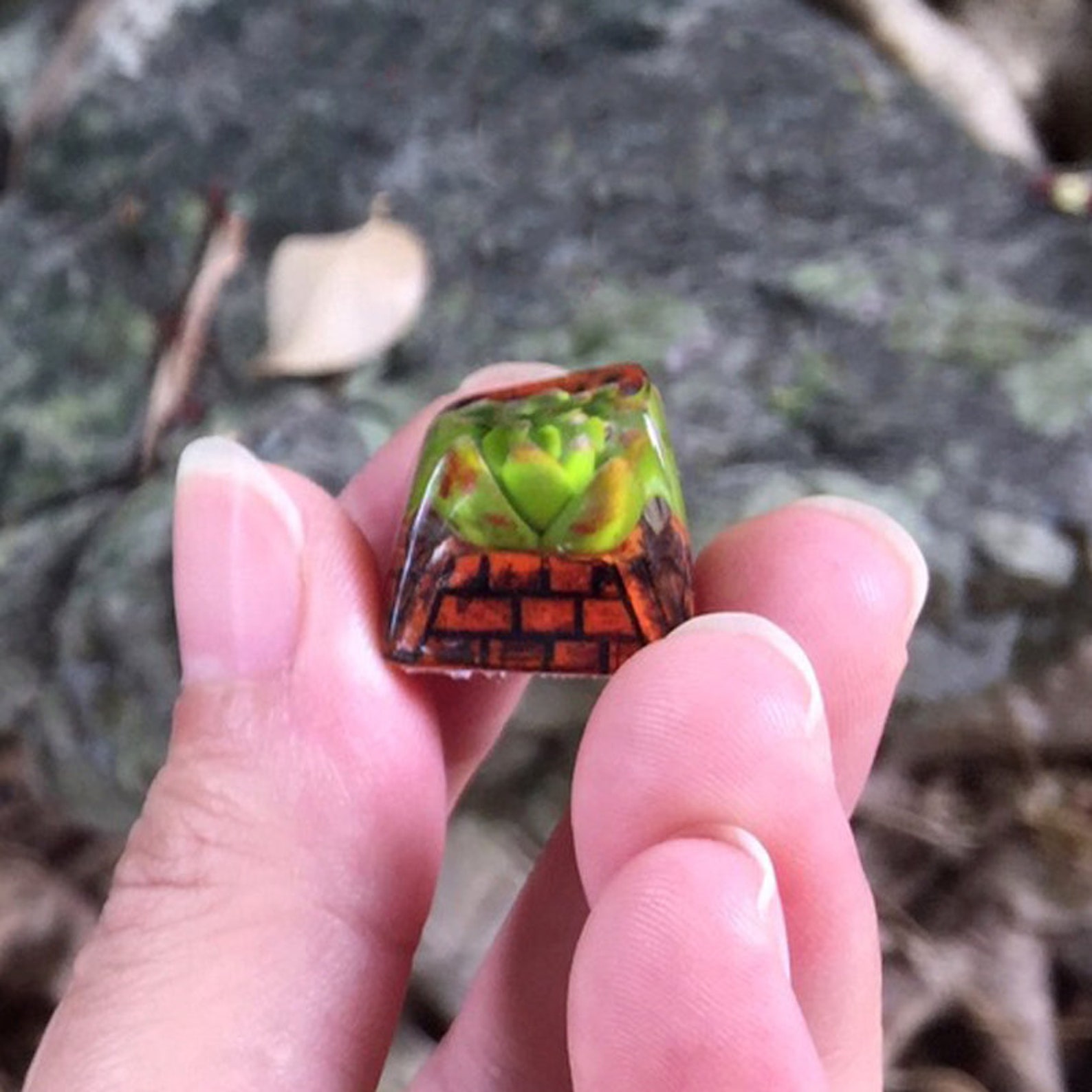 Succulent Artisan Keycap Succulent Resin Keycap Handmade - Etsy