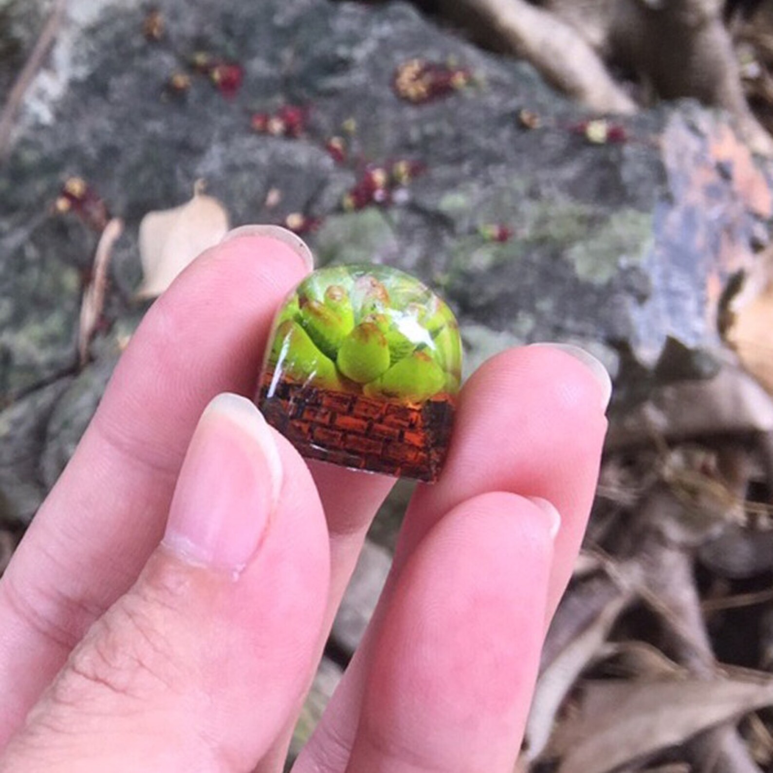 Succulent Artisan Keycap Succulent Resin Keycap Handmade - Etsy