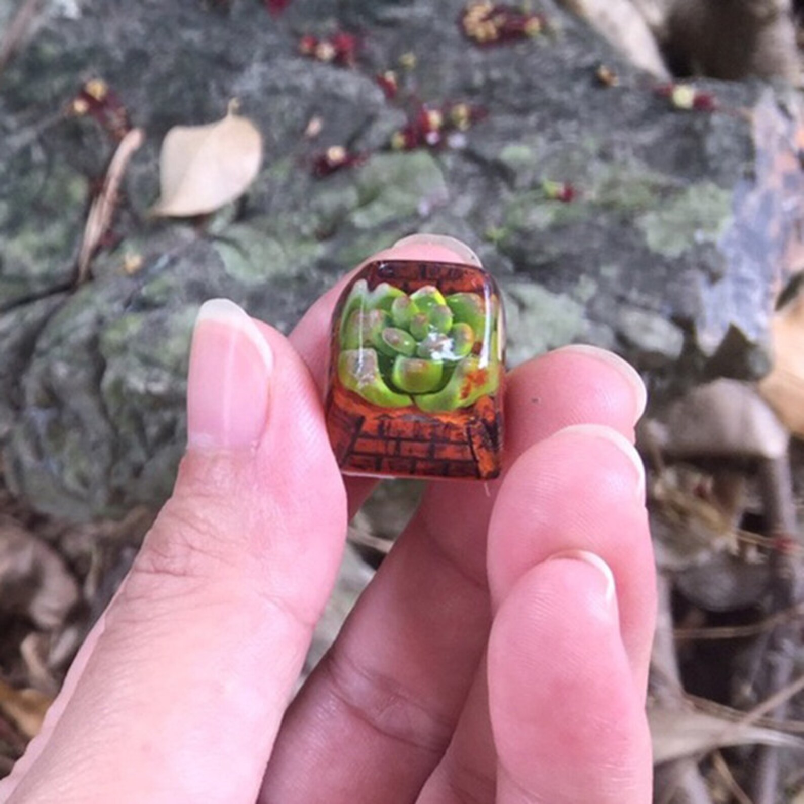 Succulent Artisan Keycap Succulent Resin Keycap Handmade - Etsy