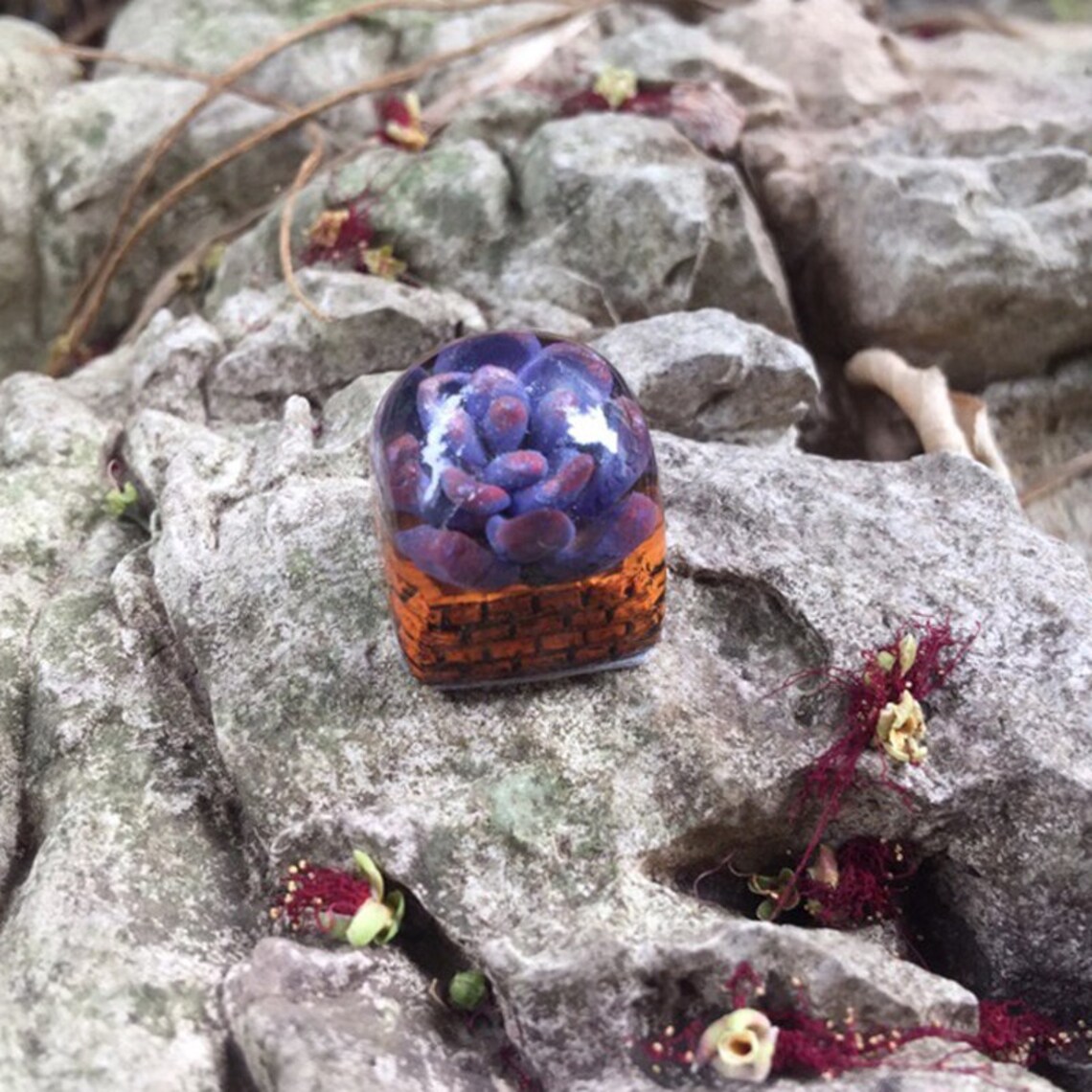 Succulent Artisan Keycap Succulent Resin Keycap Handmade - Etsy