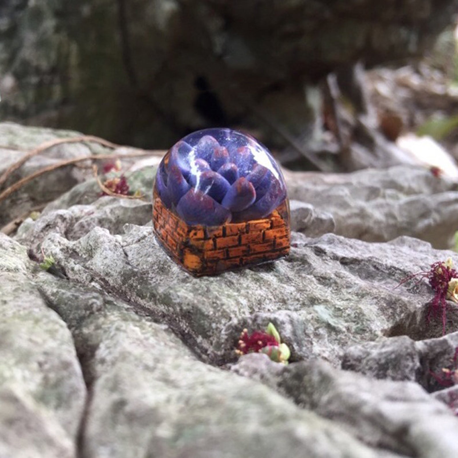 Succulent Artisan Keycap Succulent Resin Keycap Handmade - Etsy