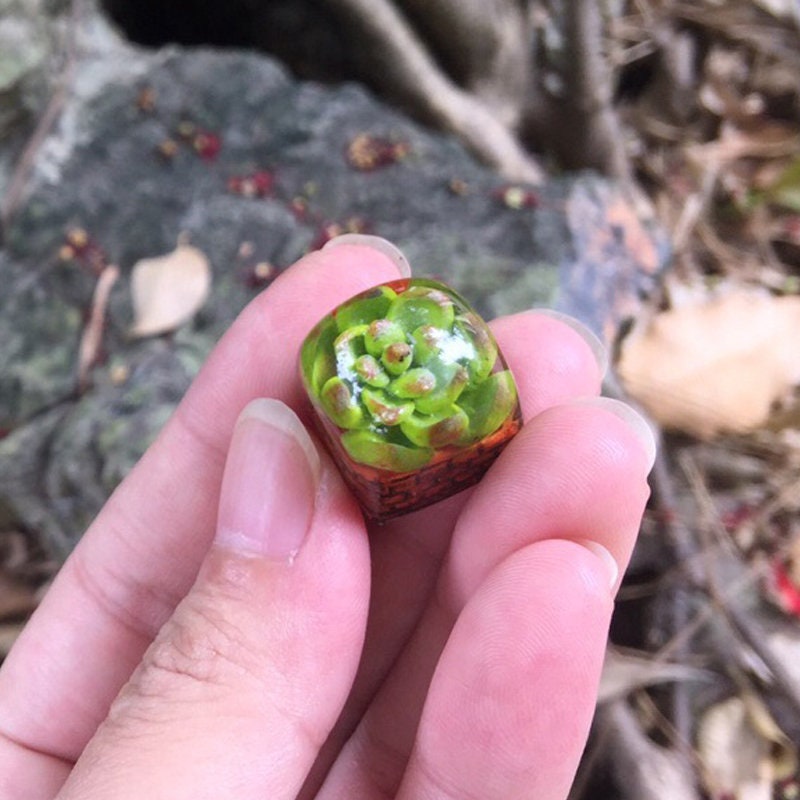 Succulent Artisan Keycap Succulent Resin Keycap Handmade - Etsy
