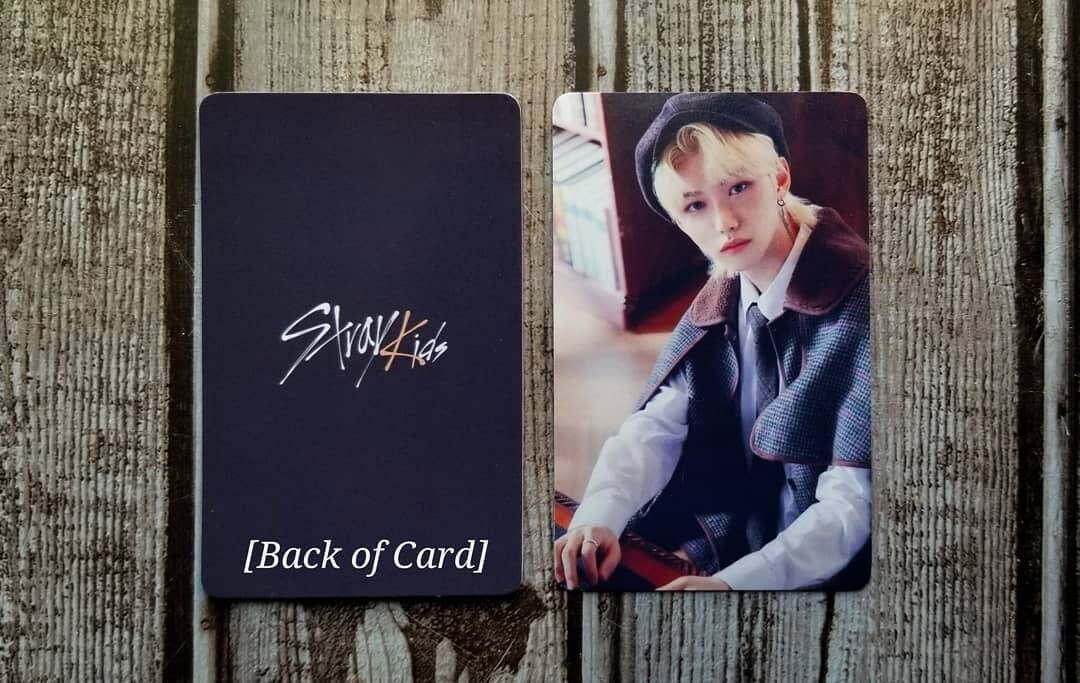 Unofficial Stray Kids K-pop Photocard Set SKZX Ver. | Etsy