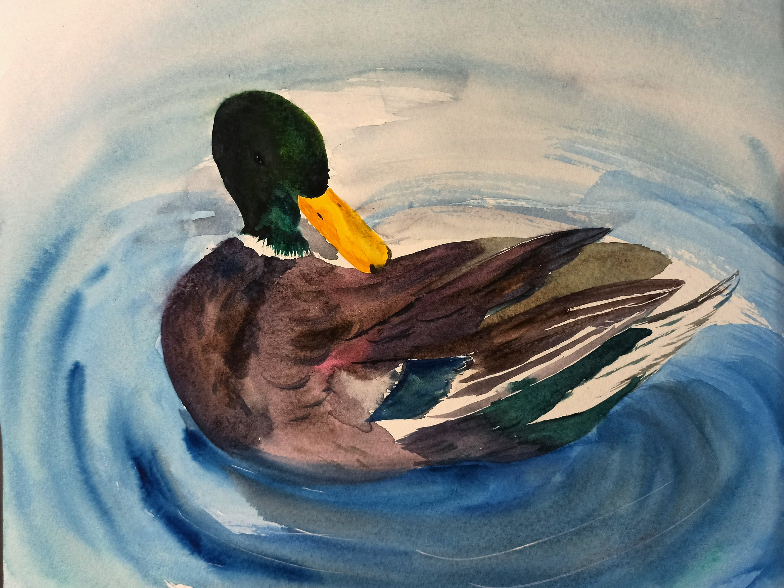 Ente Malerei original Aquarell ein von einer Art original | Etsy