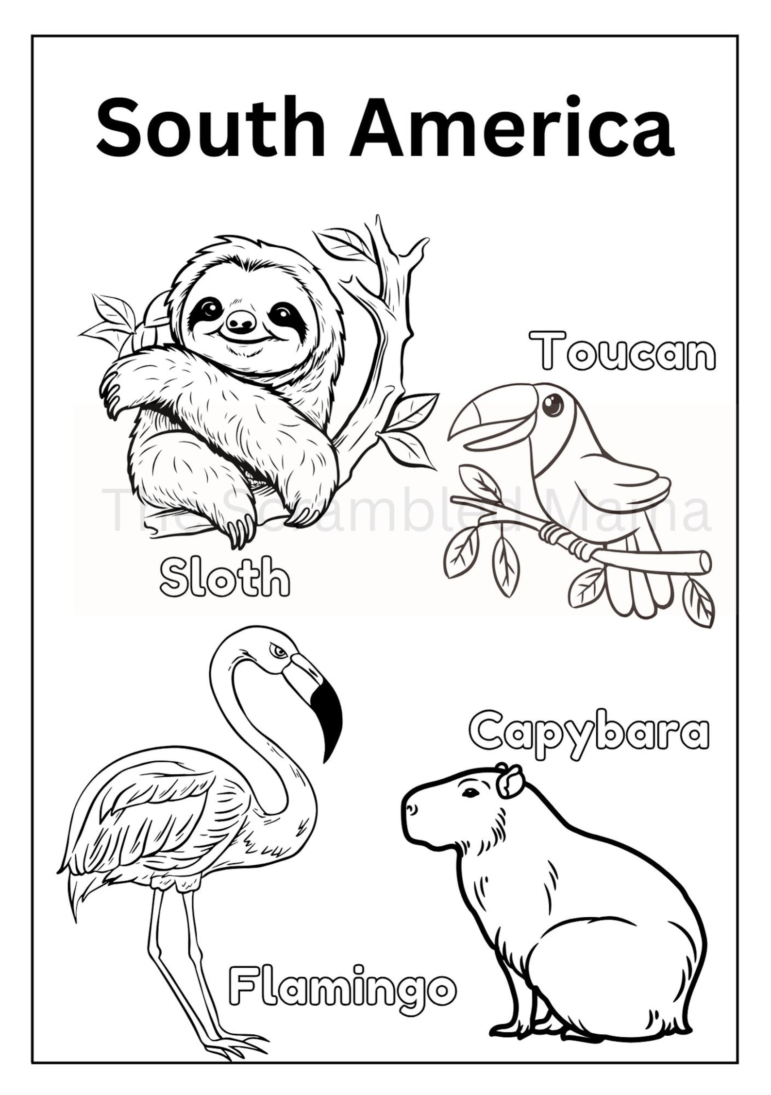 Printable Animals Around the World | Toddler Learning | Continents and ...