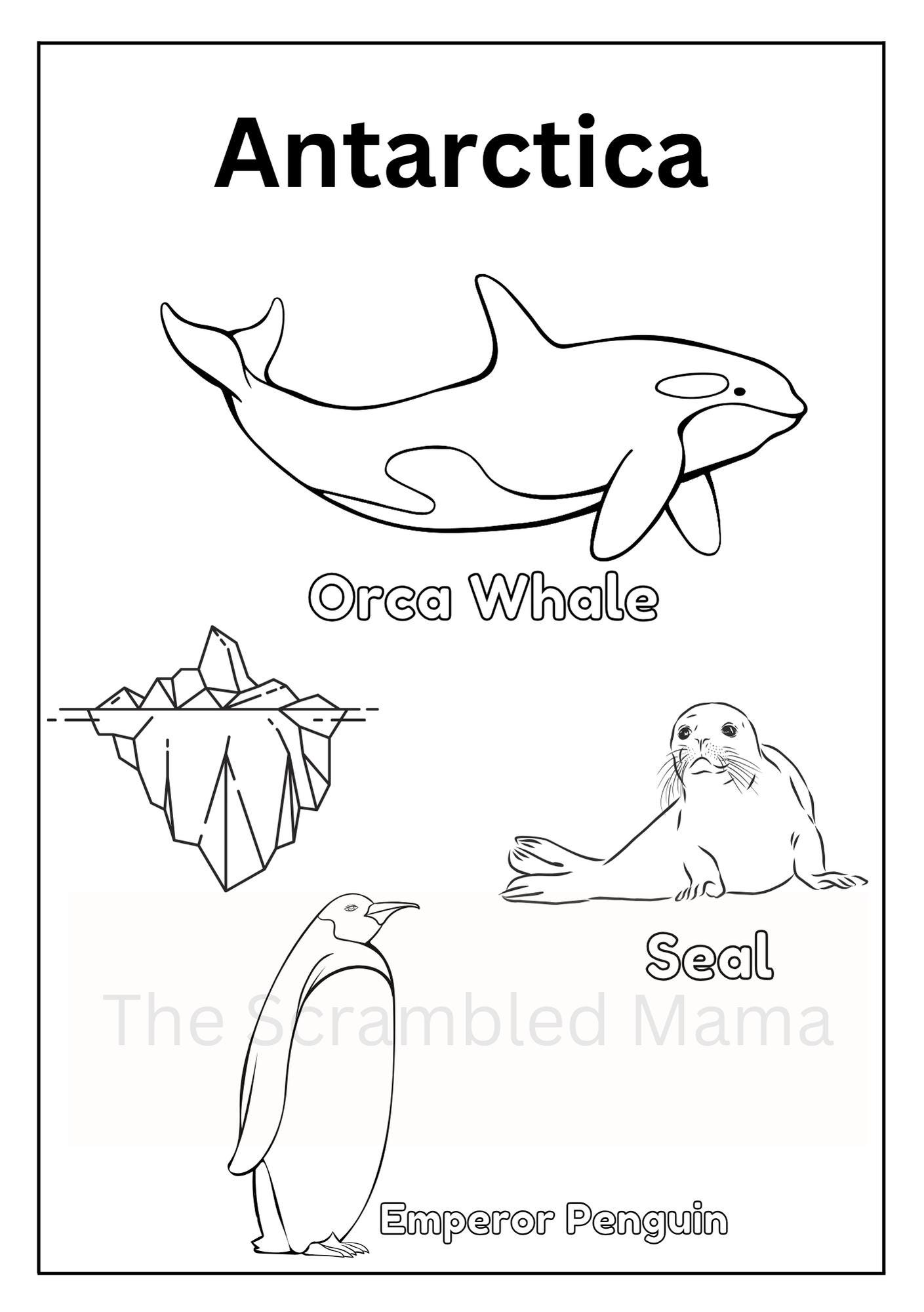 Printable Animals Around the World | Toddler Learning | Continents and ...