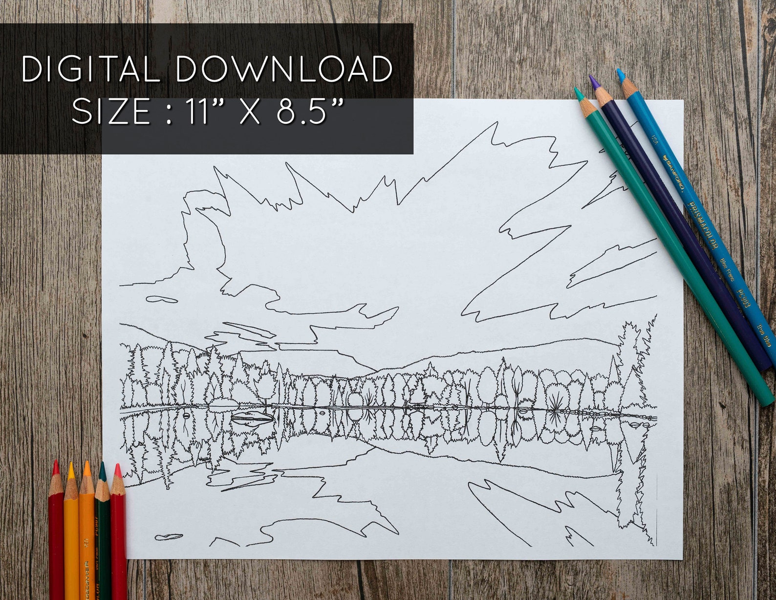 Lake Reflection Printable Adult Coloring Page Reflections - Etsy