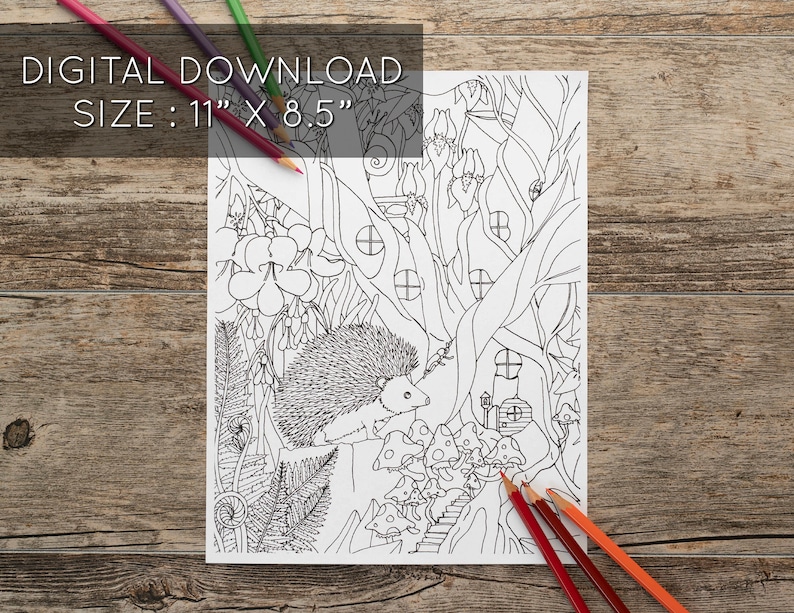 Hedgehog Nature Coloring Page Nature Coloring Pages Coloring | Etsy