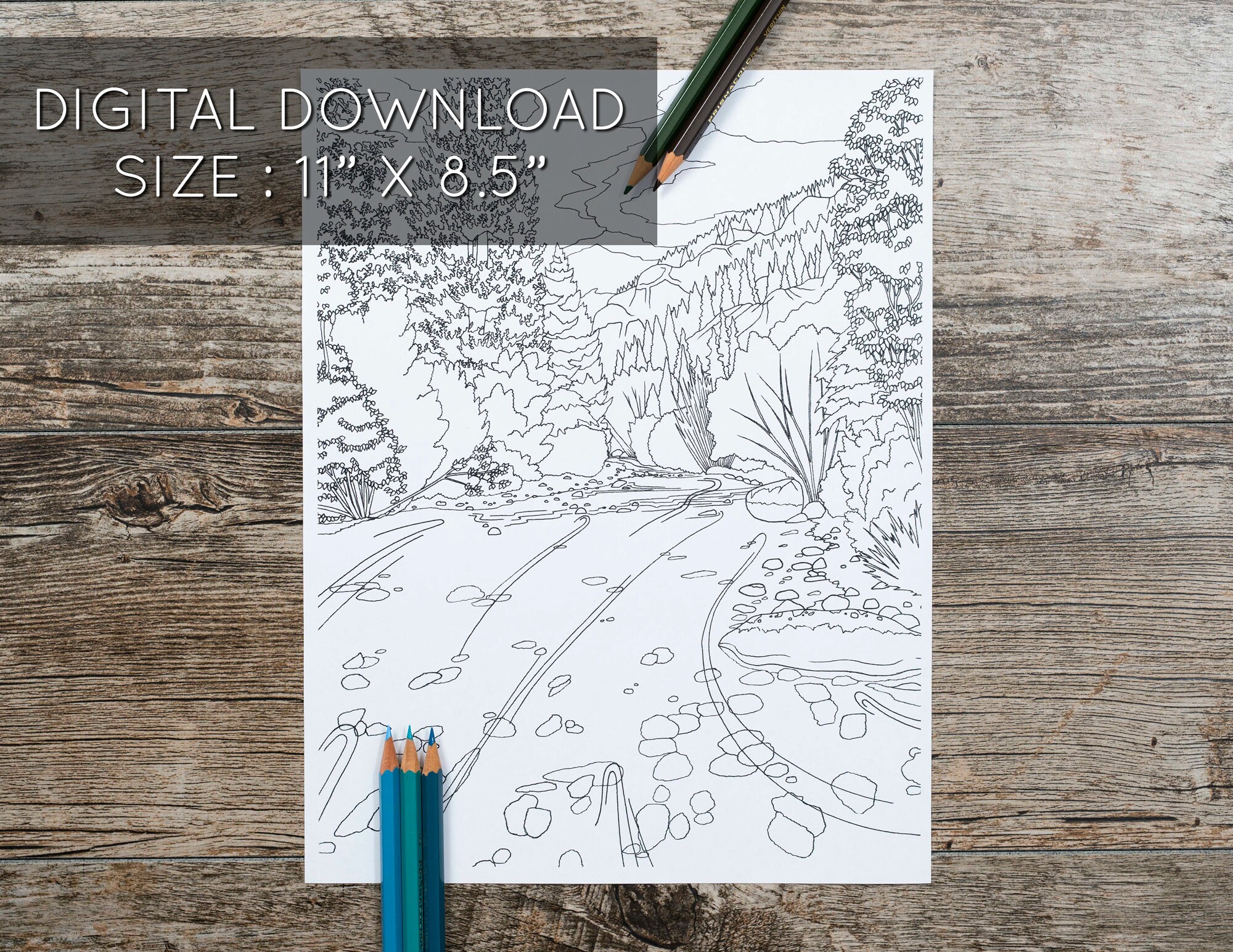River in the Forest With Mountain Adult Coloring Page, Colorado ...