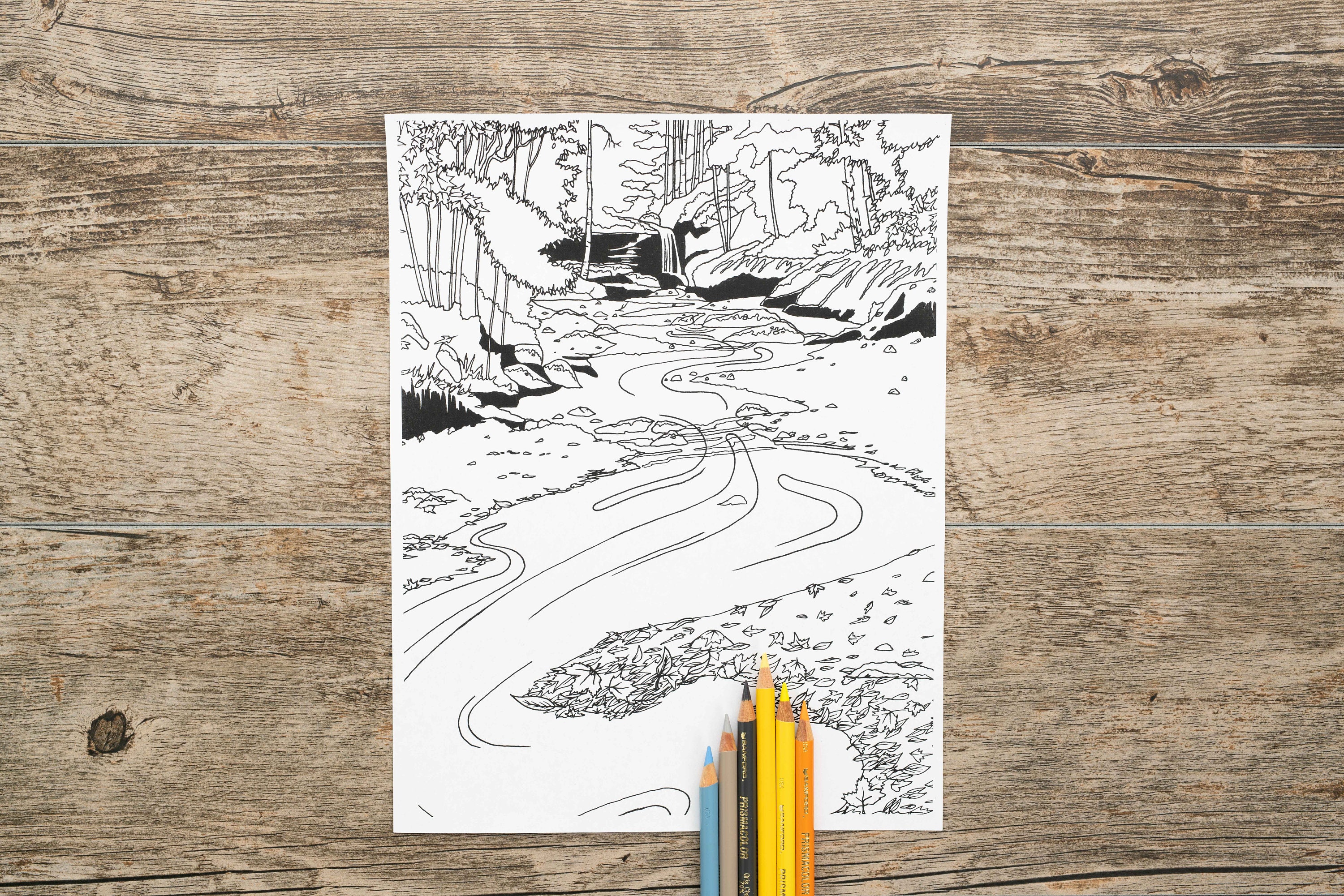 Waterfall and a Stream Wandering Through the Forest Adult Coloring Page ...