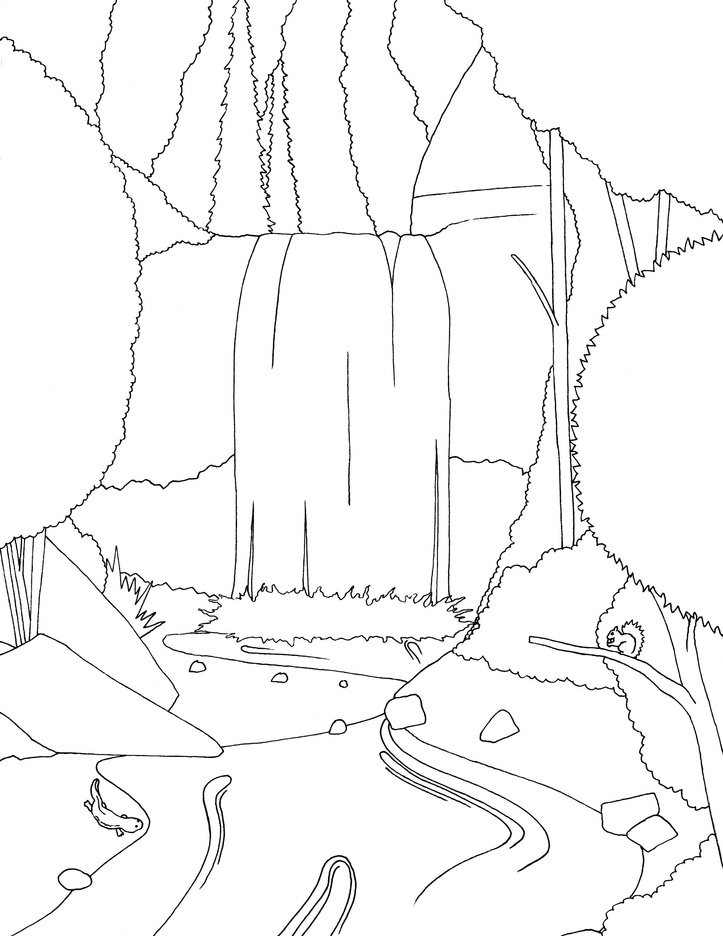 Looking Glass Falls Waterfall Children' Coloring Page, North Carolina ...