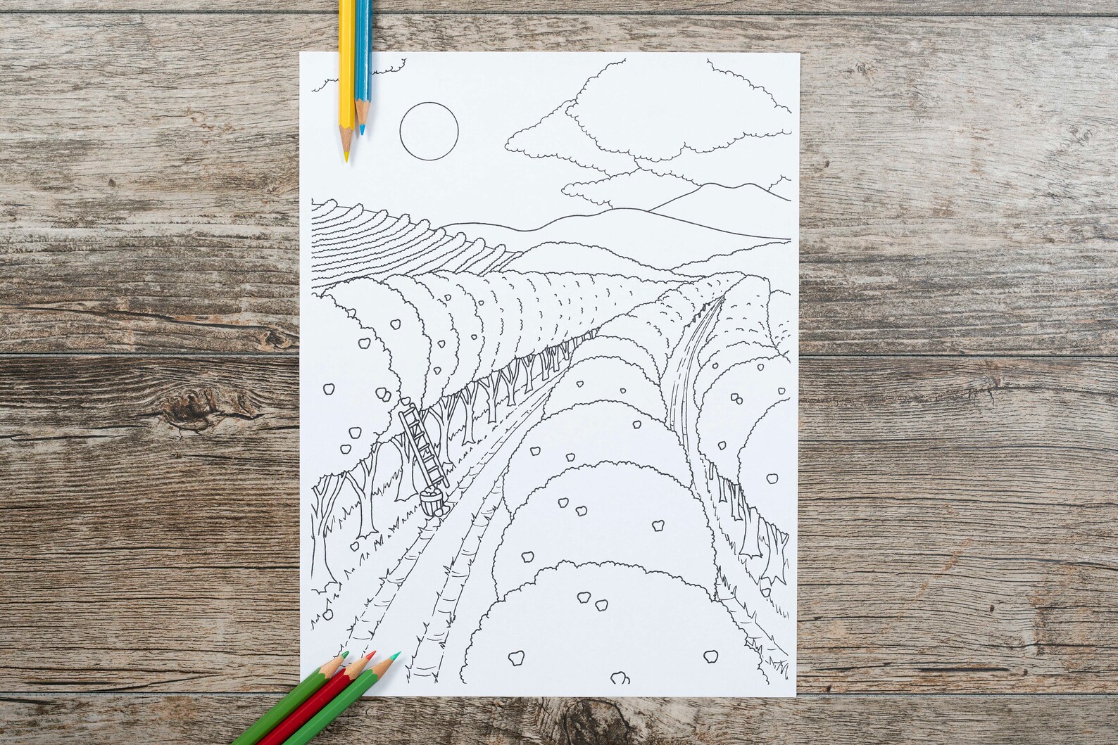 Apple Orchard Coloring Page, Mountaintop Apple Orchard Coloring Page ...