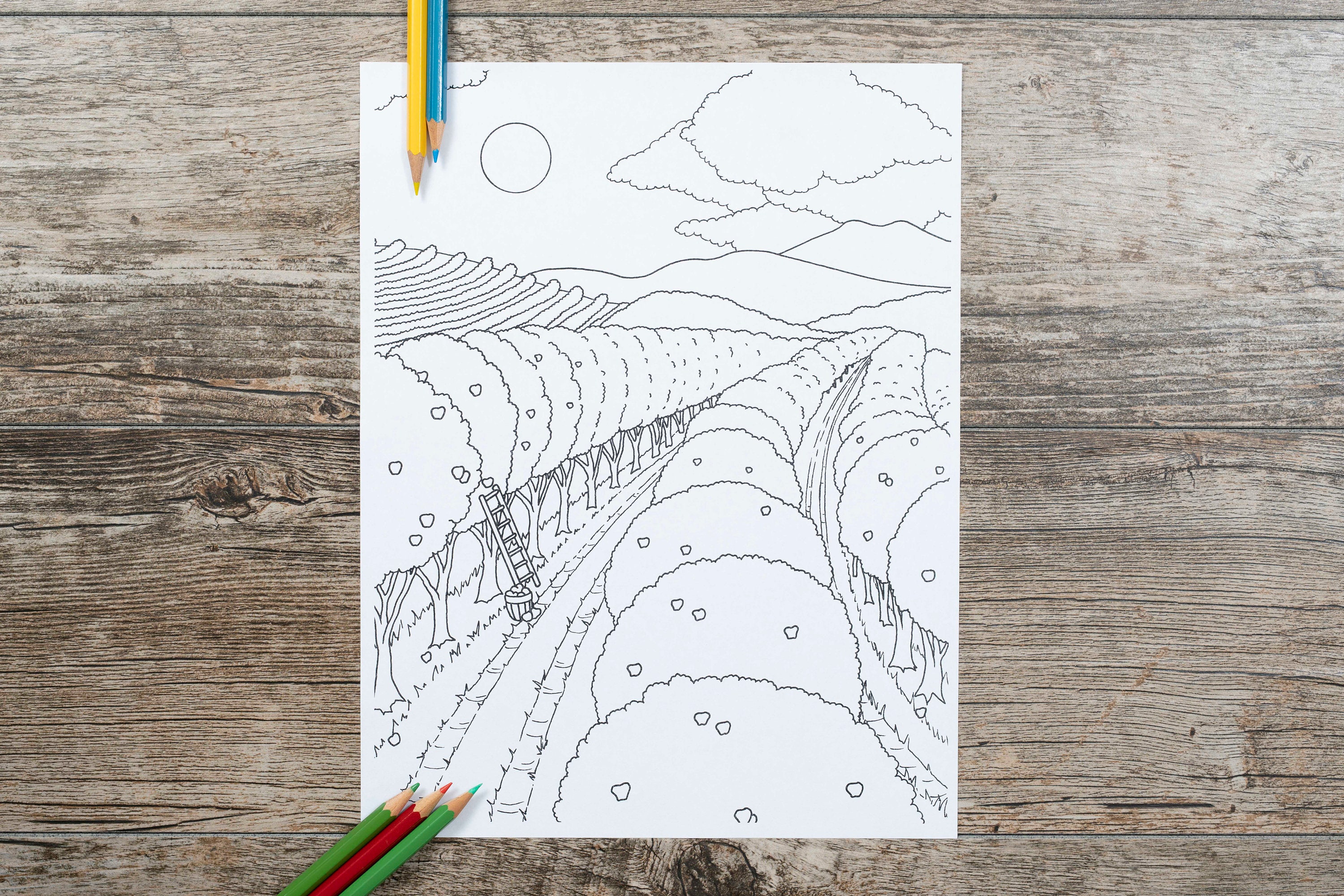 Apple Orchard Coloring Page, Mountaintop Apple Orchard Coloring Page ...