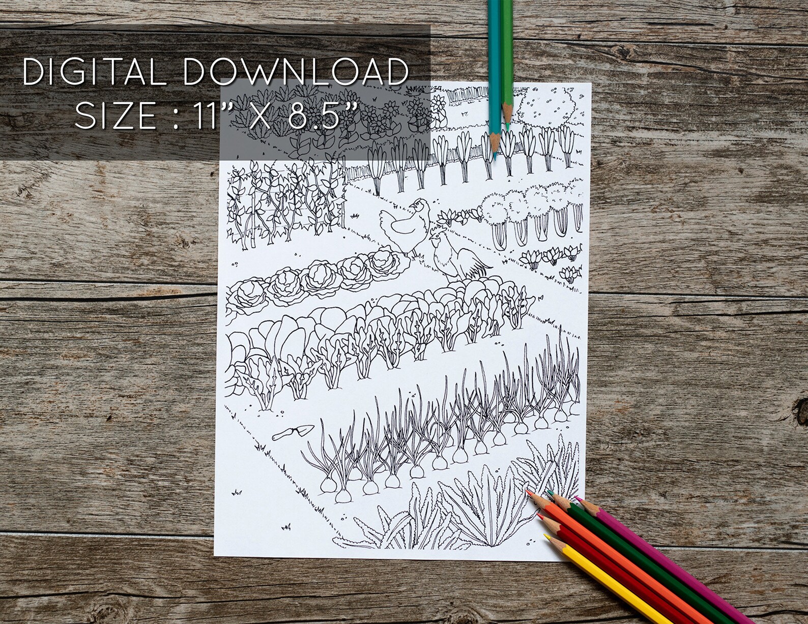 Chickens in the Garden Coloring Page, Gardening Coloring Page, Adult ...