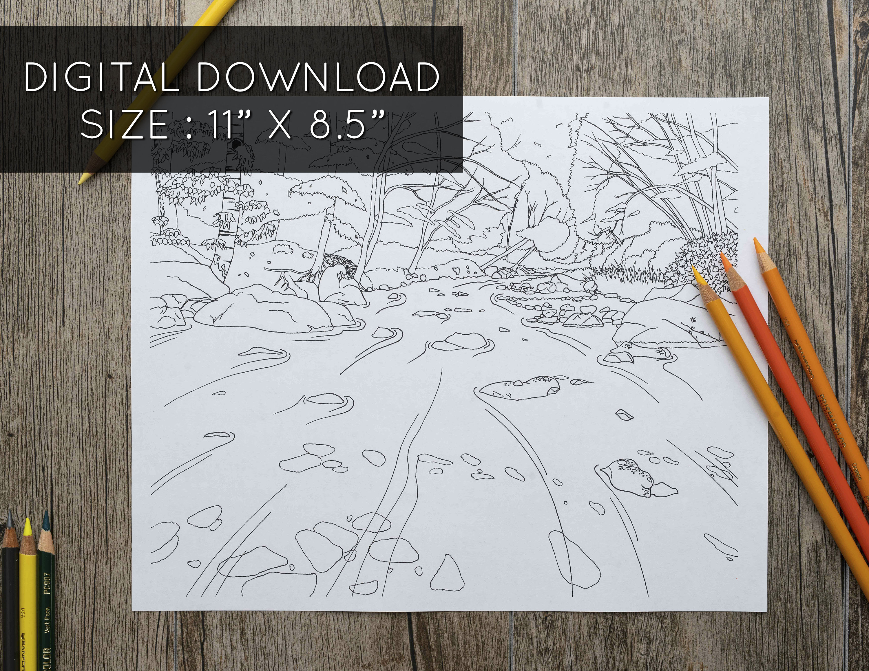 Stream in the Forest, Printable Adult Coloring Page, Forest Coloring ...