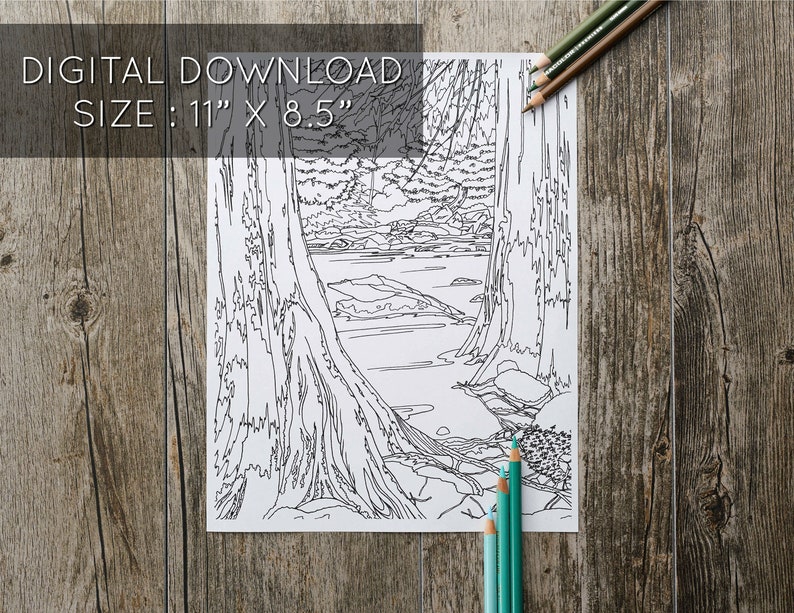 River Between Two Trees Adult Coloring Page, Adult Coloring Page ...