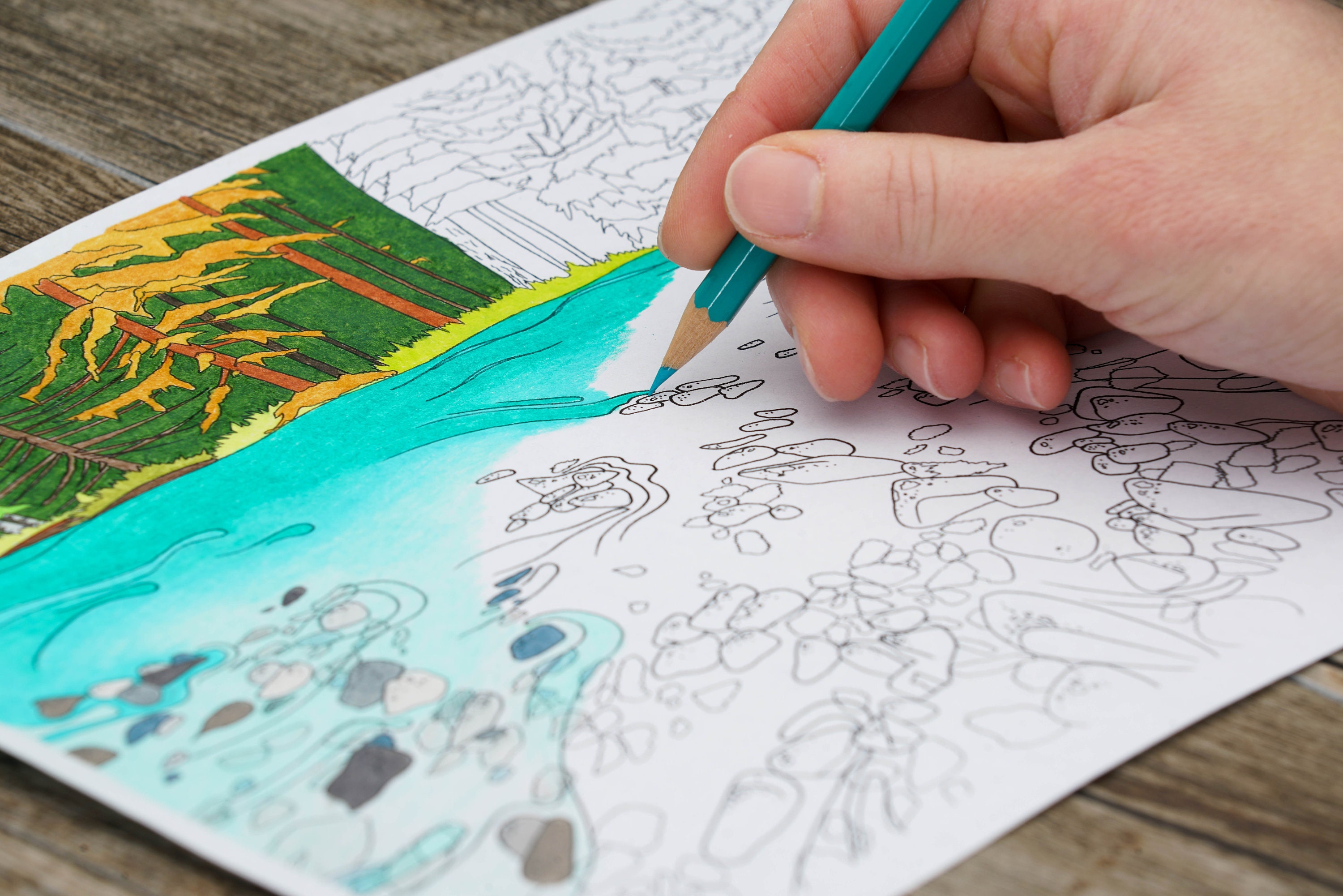 Cobblestone River, Printable Adult Coloring Page, Adult Coloring Pages ...