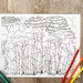 Forest of Trees, Printable Adult Coloring Page, Forest Coloring Pages ...