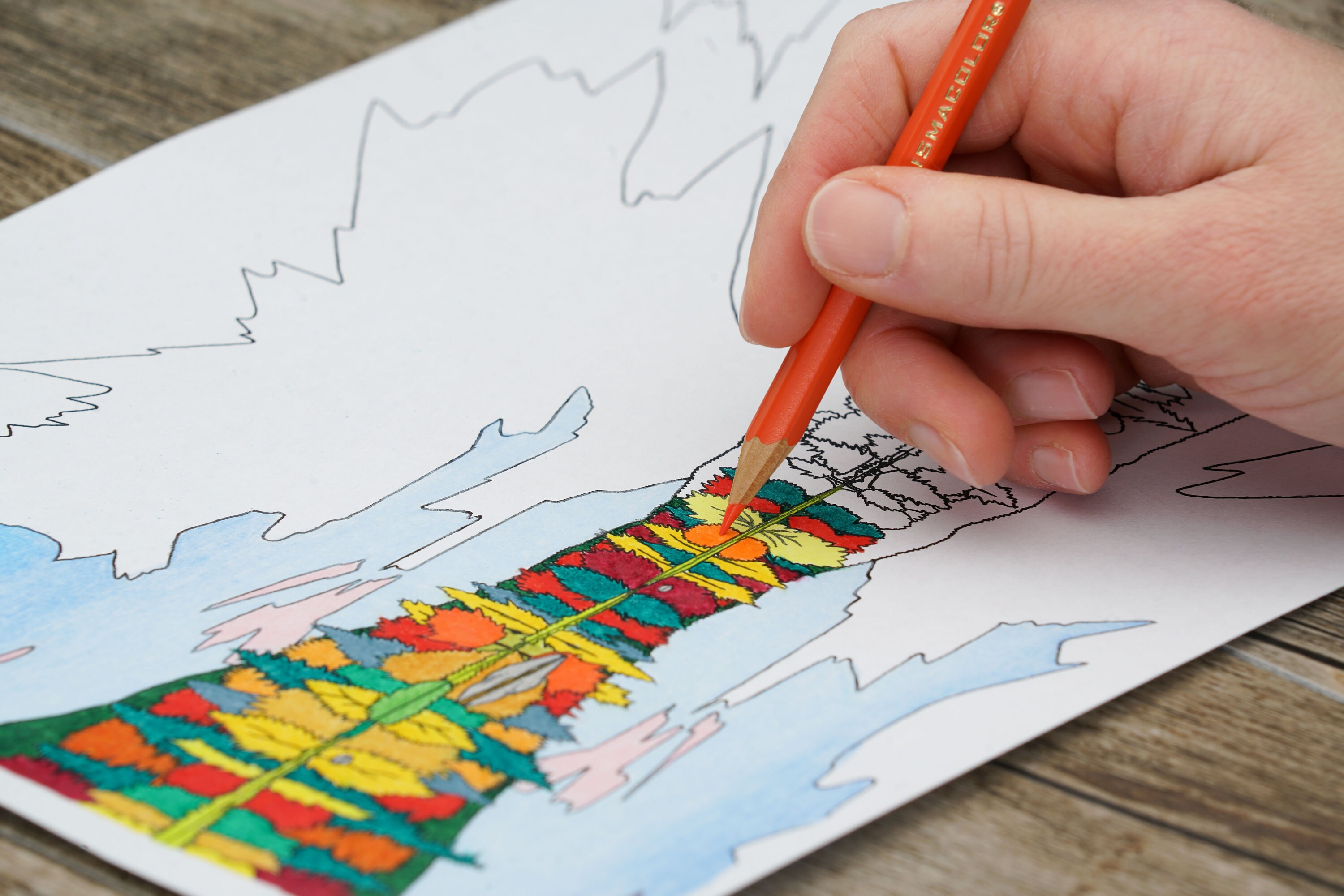 Lake Reflection, Printable Adult Coloring Page, Reflections Coloring ...