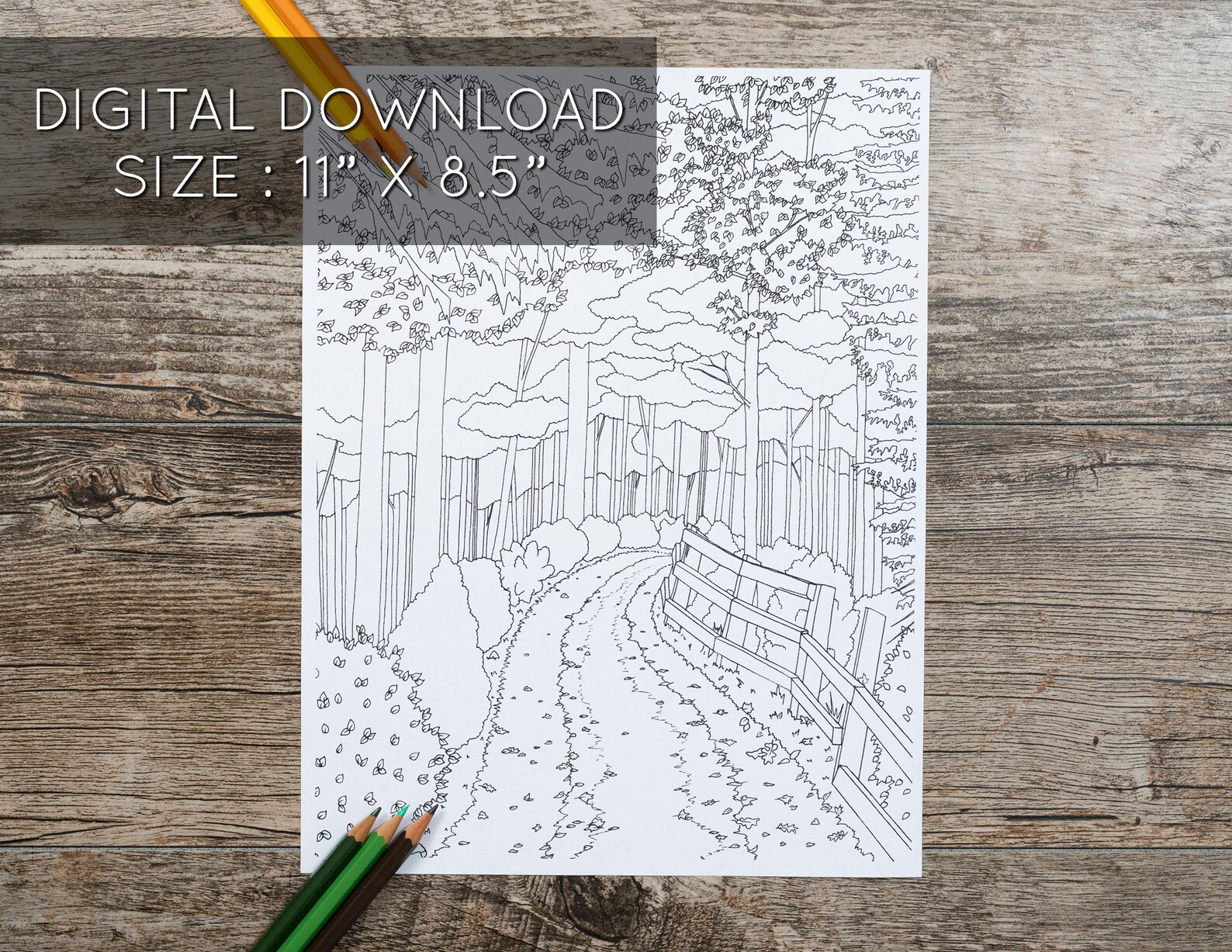 Pathway Through the Woods Adult Coloring Page, Forest Coloring Page ...