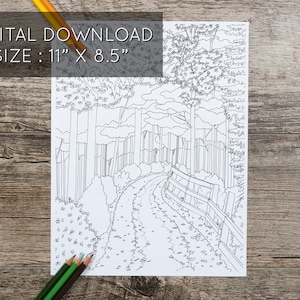 Pathway Through the Woods Adult Coloring Page, Forest Coloring Page ...