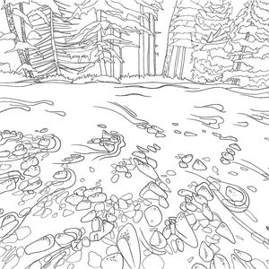 Cobblestone River, Printable Adult Coloring Page, Adult Coloring Pages ...