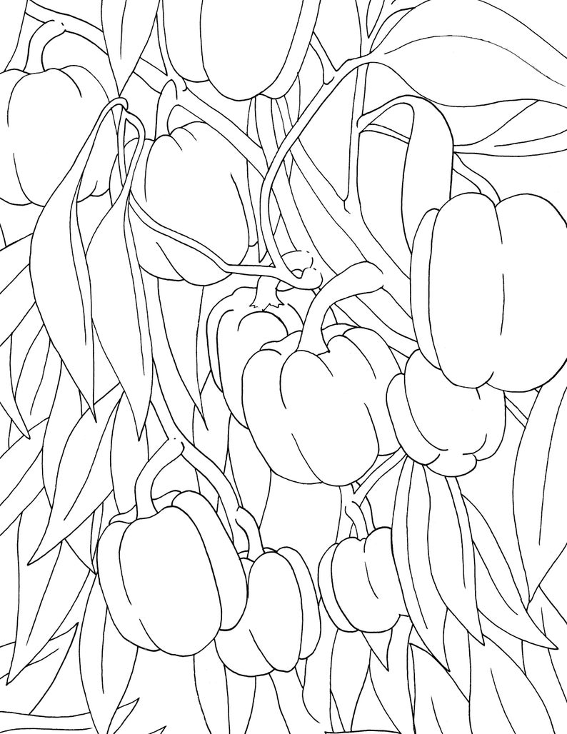 Pepper Plant Coloring Page, Peppers, Bell Peppers, Coloring Page ...