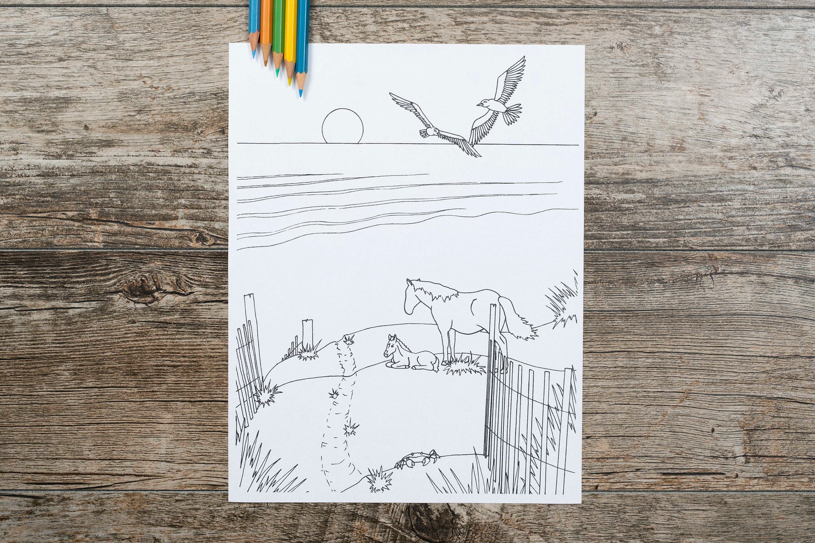 Horses on the Beach Children's Coloring Page, Outer Banks North ...