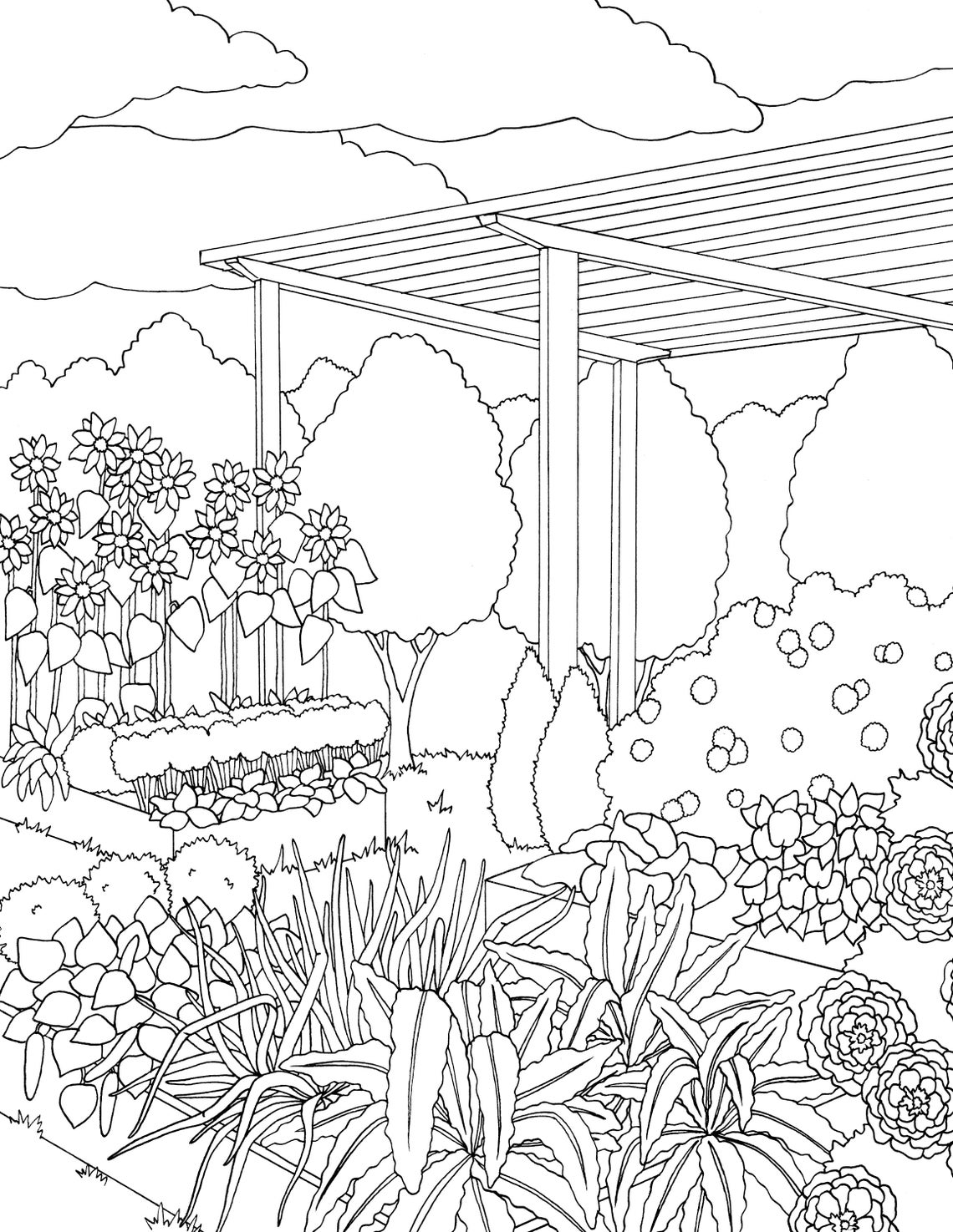 Pergola Garden Coloring Page, Garden Coloring Page, Flower Garden ...