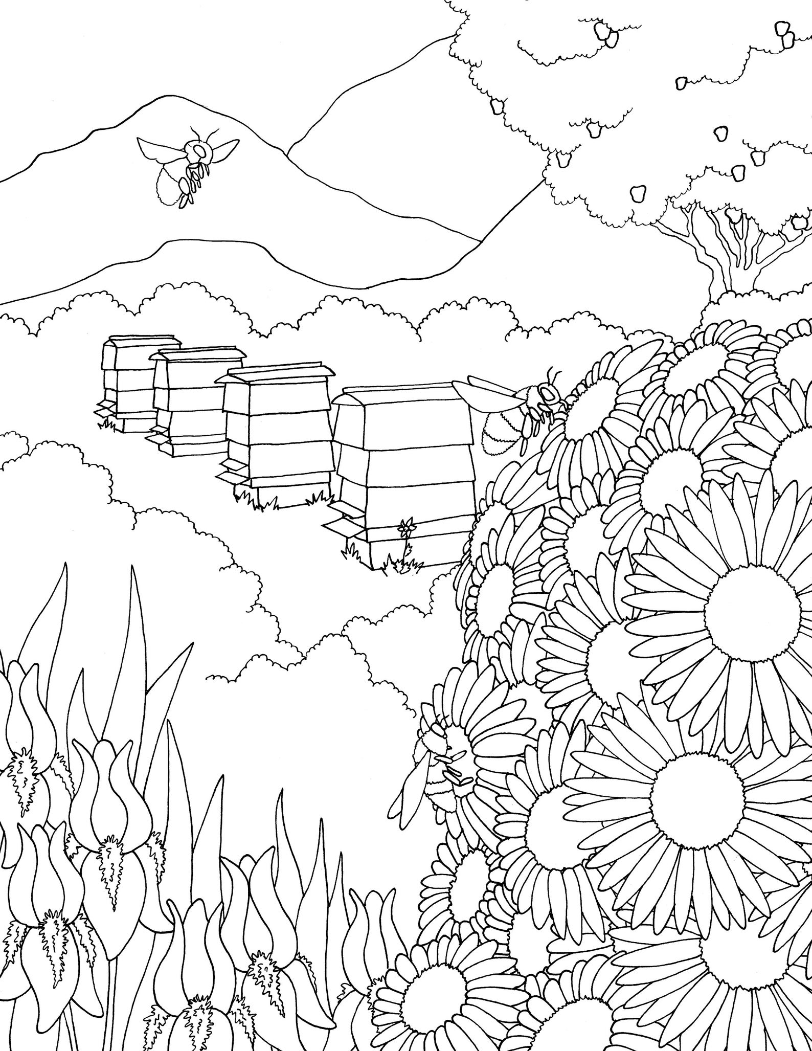 Bee Hive Coloring Page, Bees Coloring Page, Bees, Bee Hives, Bees in a ...