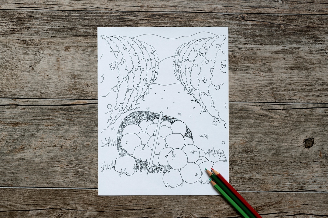 Apple Orchard Coloring Page, Apple Orchard, Fall Coloring Pages, Bushel ...