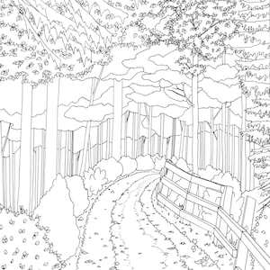 Pathway Through the Woods Adult Coloring Page, Forest Coloring Page ...