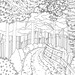 Pathway Through the Woods Adult Coloring Page, Forest Coloring Page ...