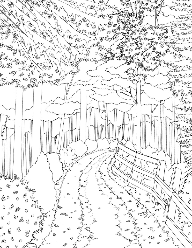 Pathway Through the Woods Adult Coloring Page, Forest Coloring Page ...