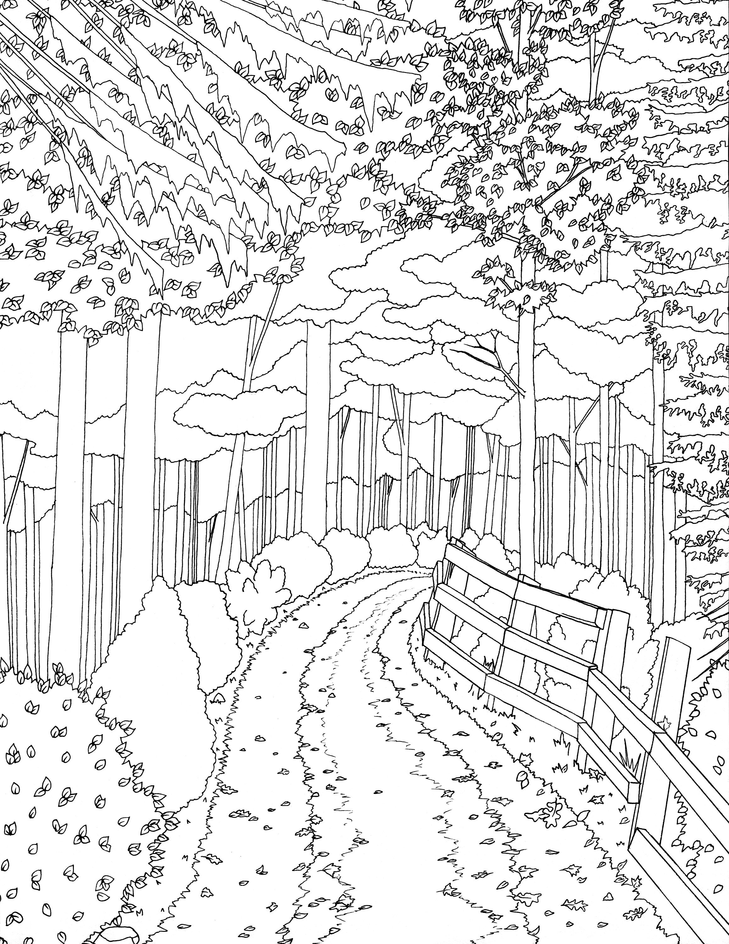 Pathway Through the Woods Adult Coloring Page, Forest Coloring Page ...