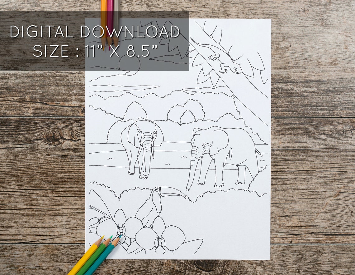 Zoo Children's Coloring Page, Elephants Childrens Coloring Page, Zoo ...