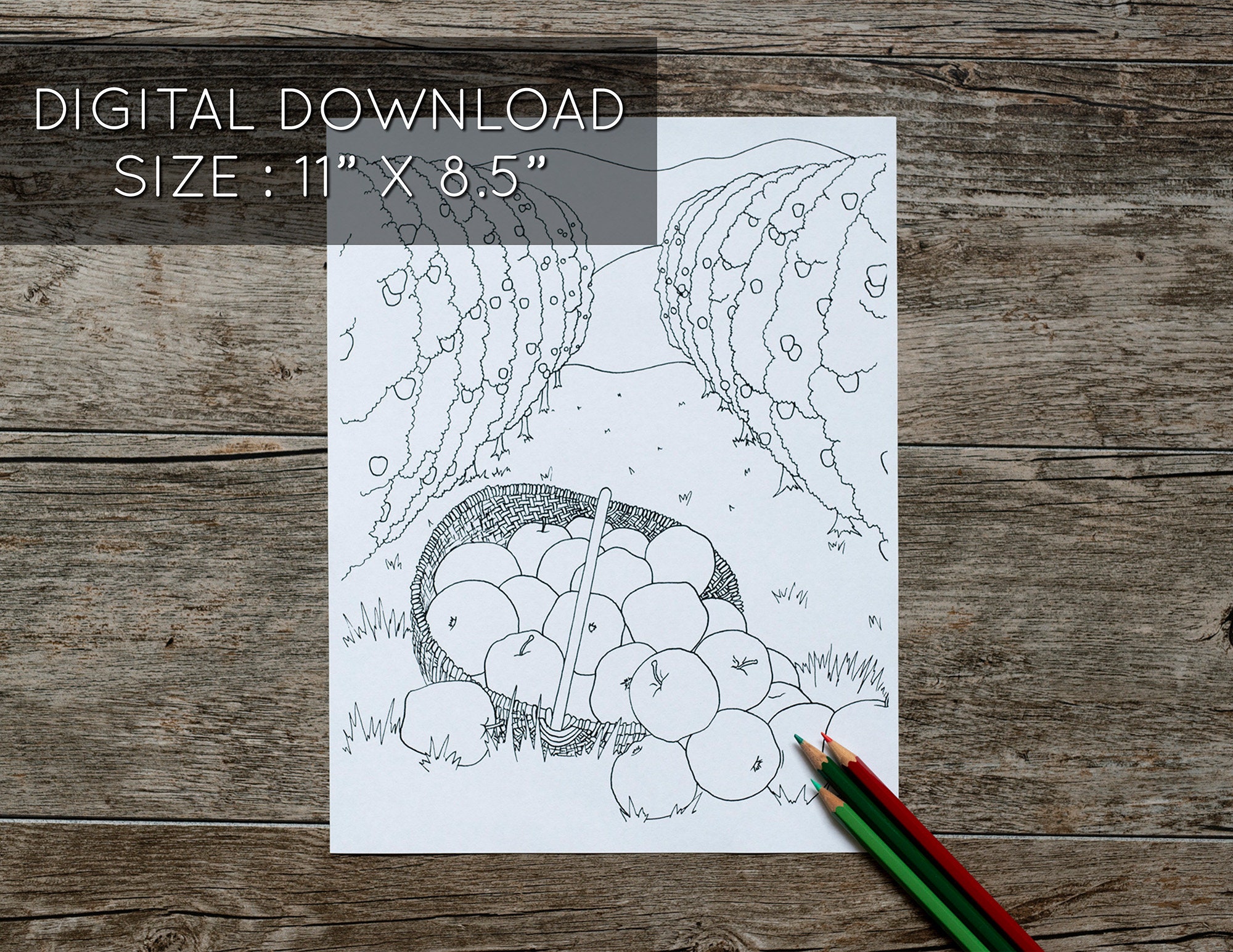 Apple Orchard Coloring Page, Apple Orchard, Fall Coloring Pages, Bushel ...