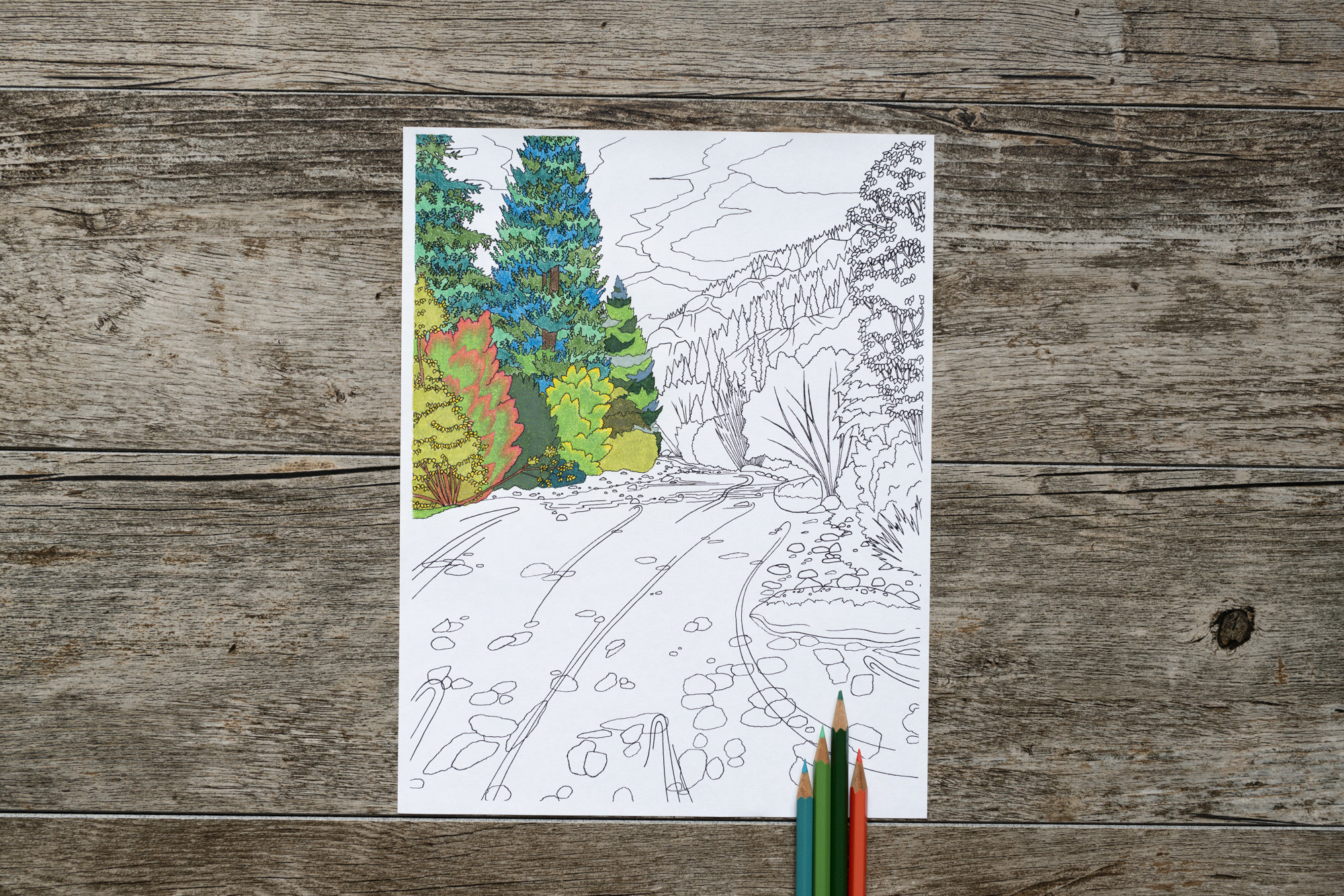 River in the Forest With Mountain Adult Coloring Page, Colorado ...